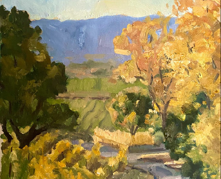 Frances Schultz – Bring Your Light to the World