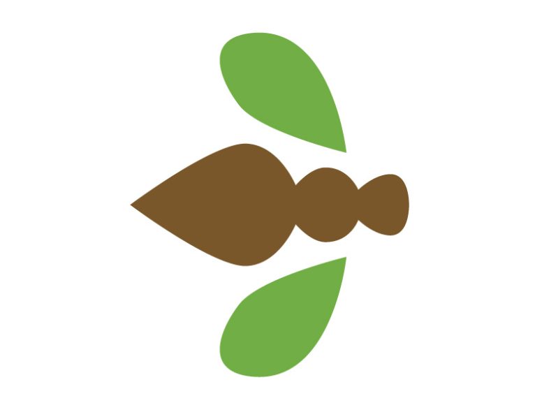 Frances Schultz – Bring Your Light to the World