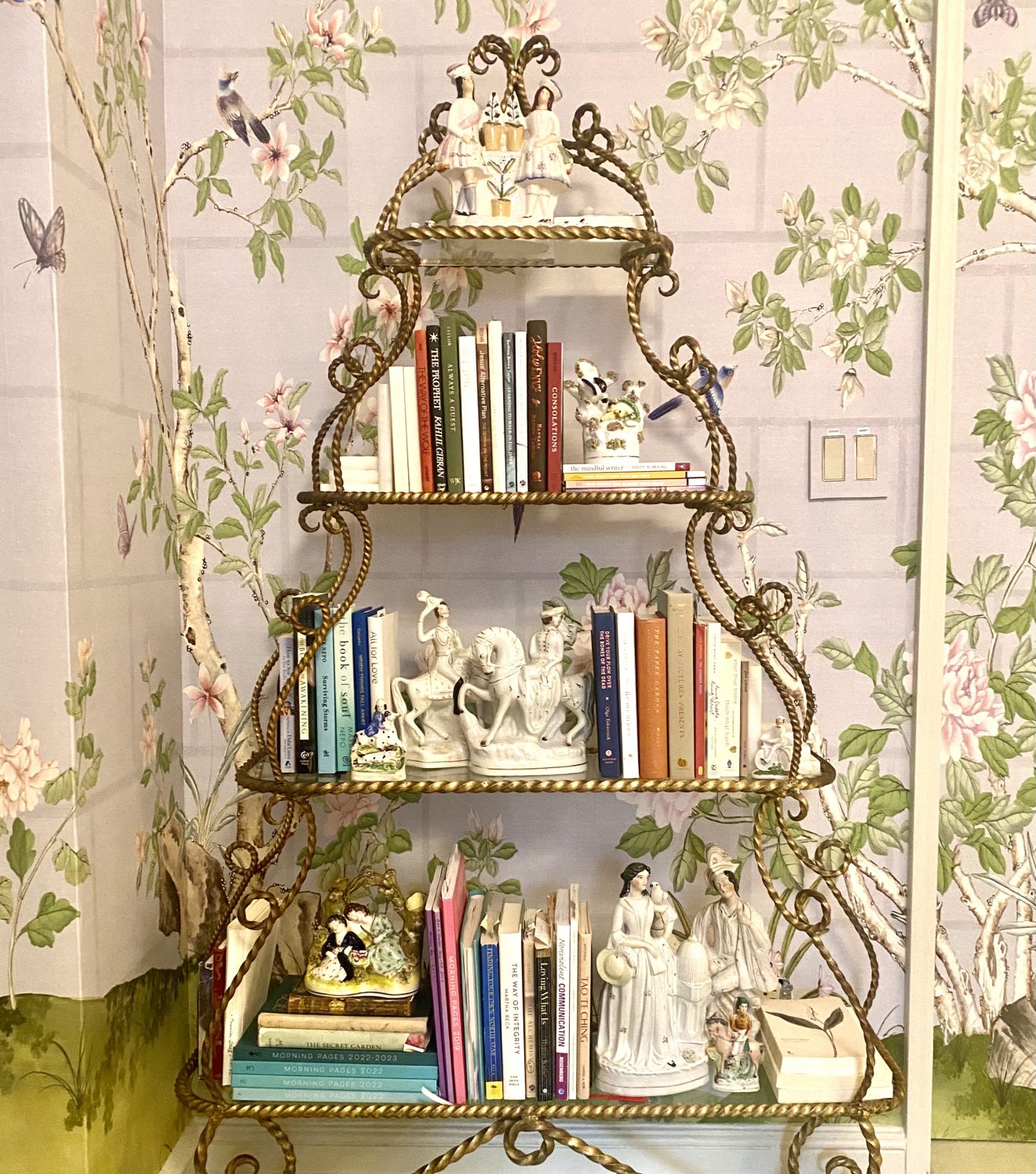 Frances Schultz – Bring Your Light to the World